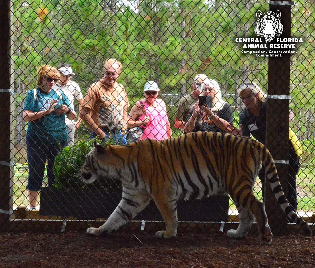 Tours available for this weekend! | Central Florida Animal Reserve ...