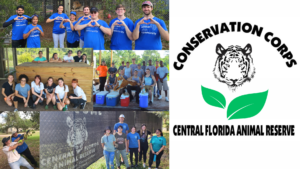 CFAR Conservation Corps | Central Florida Animal Reserve | Compassion ...